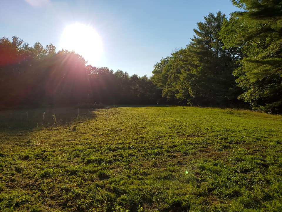 John Ballentine Landscaping & Snow Management LLC: Home Page